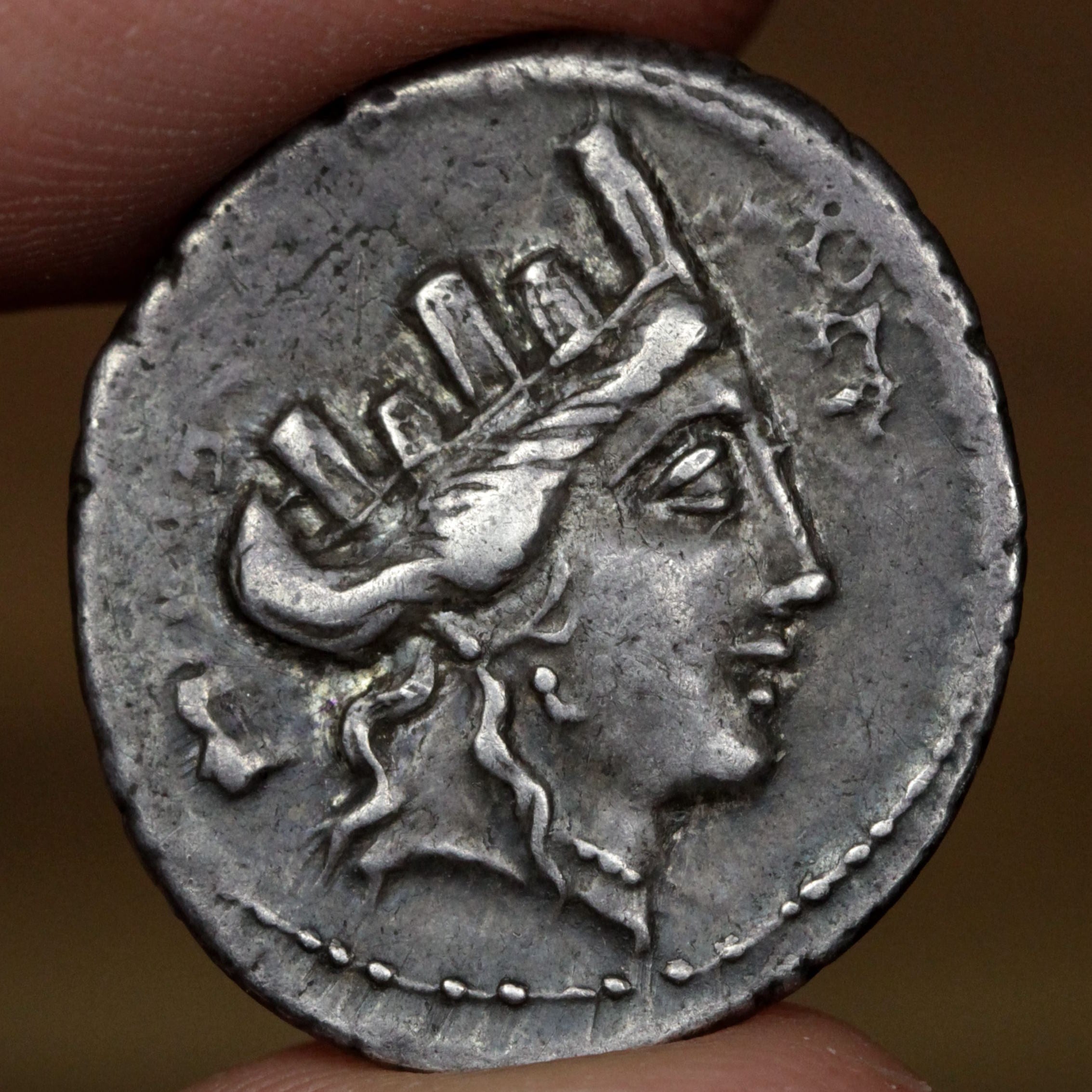 Roman Republic Coins – Original Skin Coins