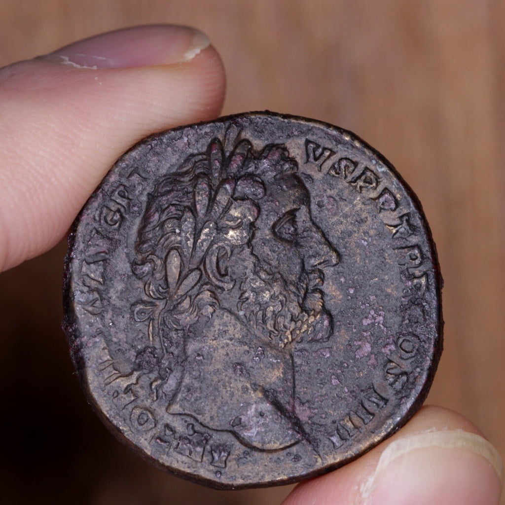 145 AD Emperor Antoninus Pius Ancient Roman Empire Bronze Sestertius ...